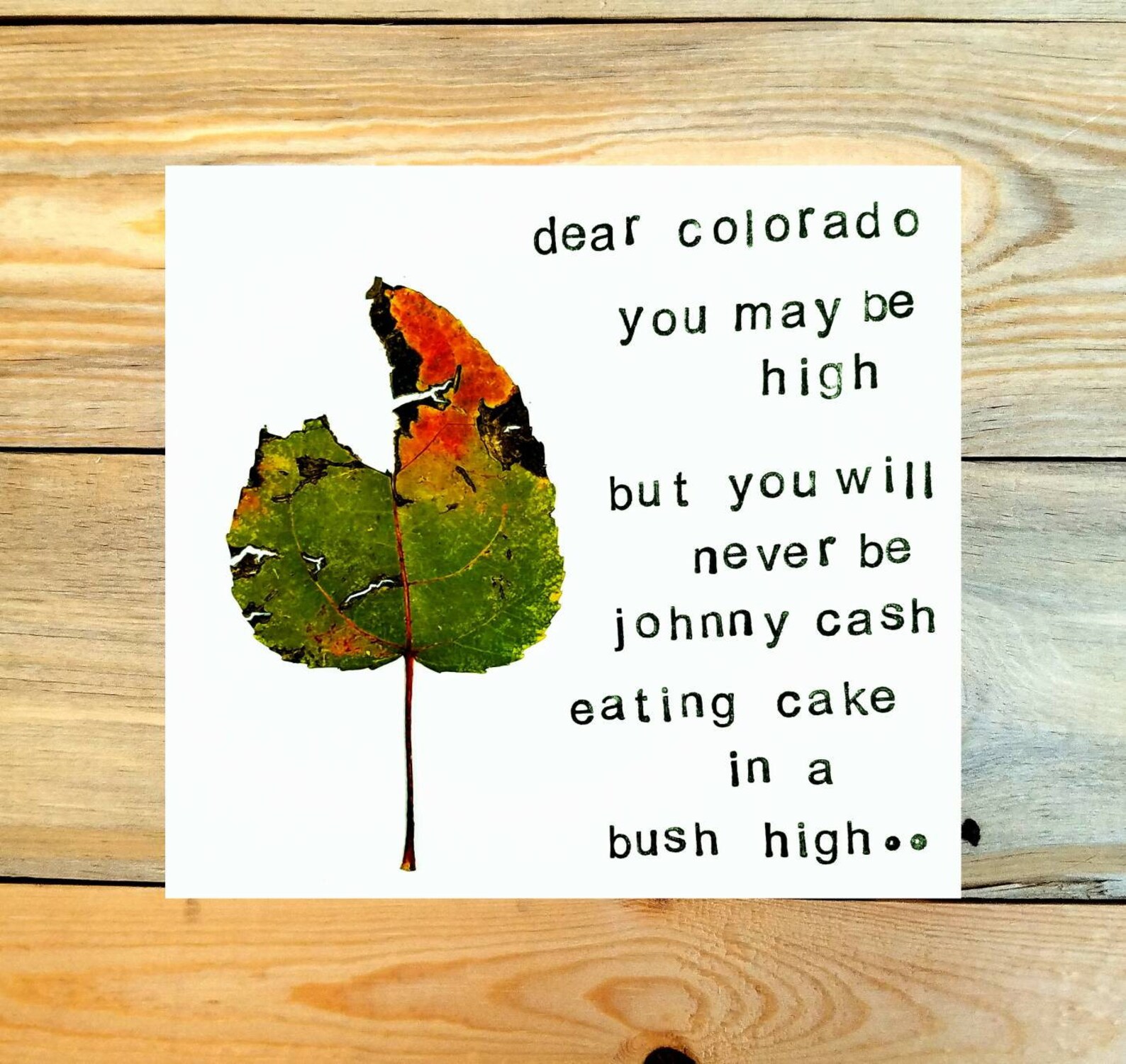 Johnny Cash Eating Cake in the Bush High Colorado Card - Etsy