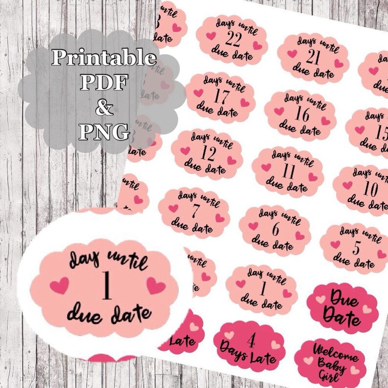PRINTABLE Baby Girl Due Date Count Down Planner Stickers Download ...