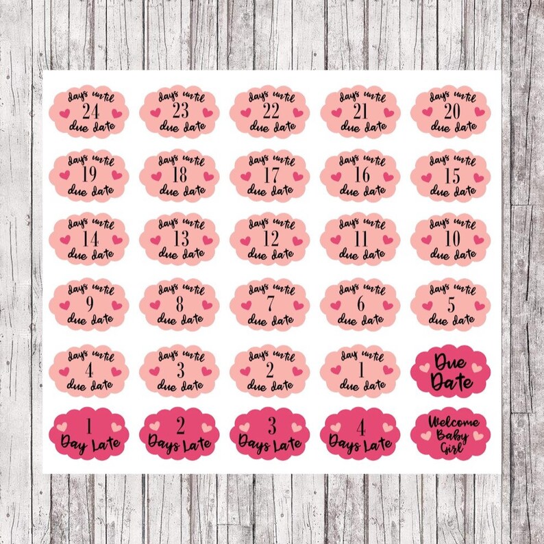 PRINTABLE Baby Girl Due Date Count Down Planner Stickers Download ...