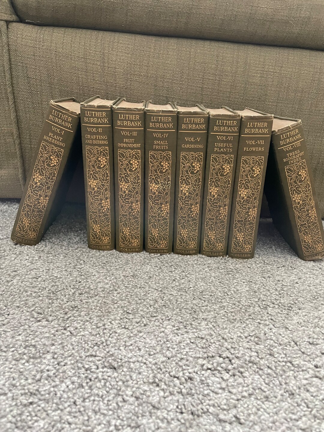 1921 Luther Burbank Full Set Volumes 1 Thru 8 - Etsy
