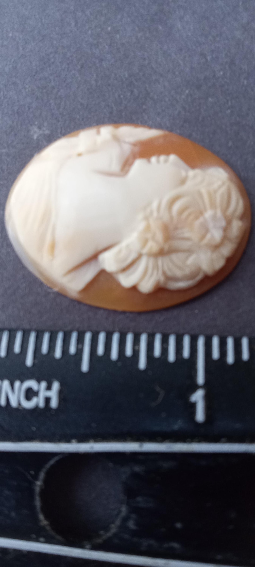 Antique Fine Italian Cameo Carved Shell, Great Condition, Removed From ...