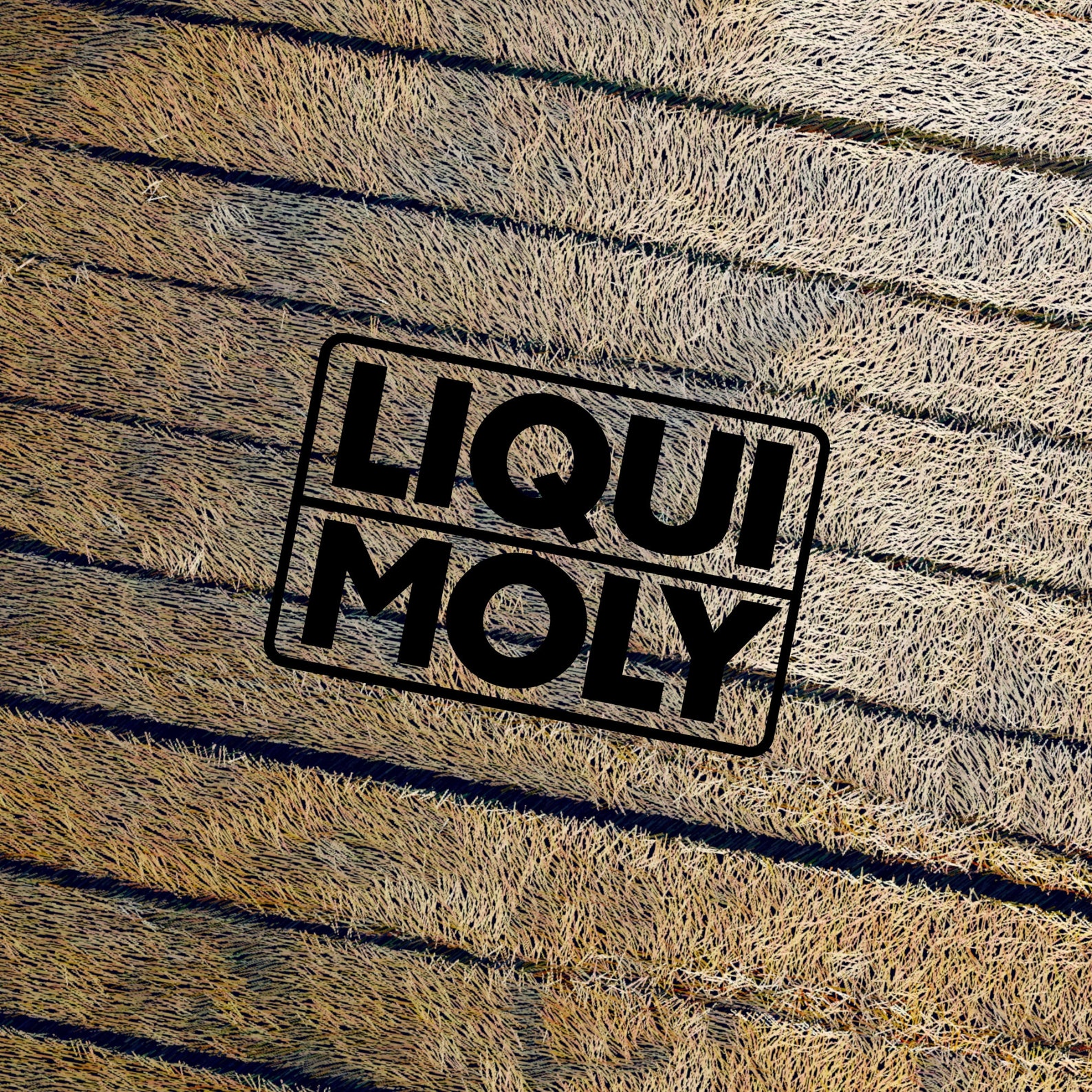 LIQUI MOLY Vinyl Sticker – Car or Motorcycle Oil Brand Decal ...