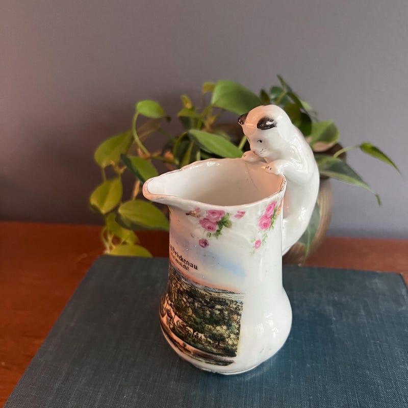 Cat Pitcher - Etsy