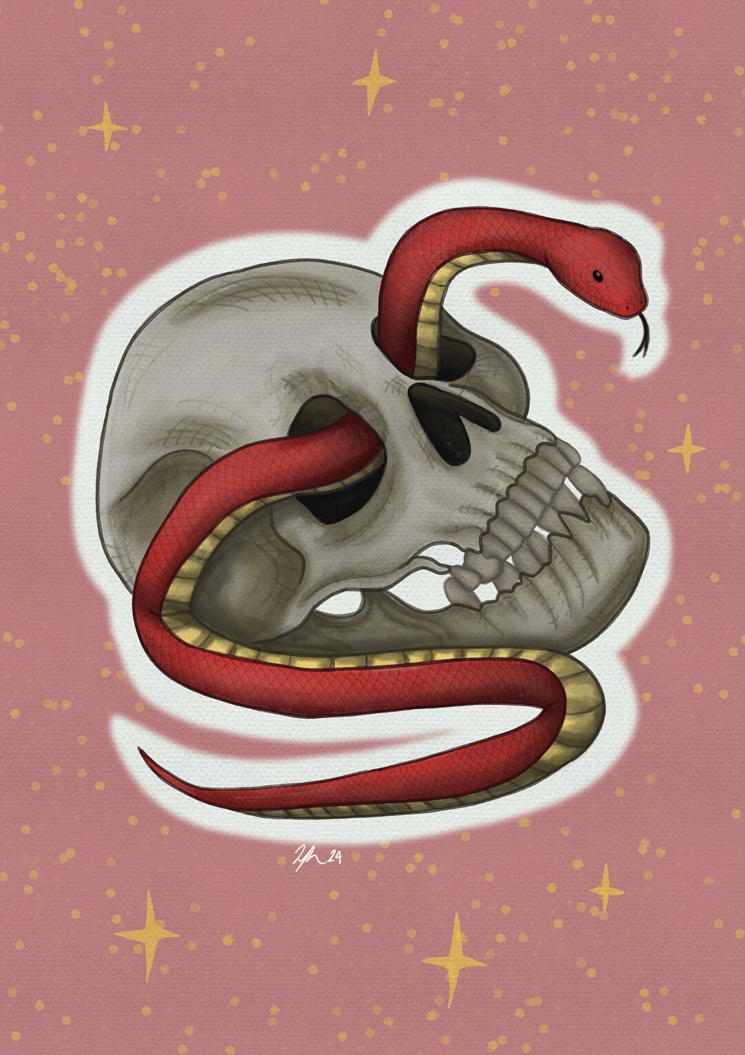 Cute Snake in Skull Drawing Print - Etsy