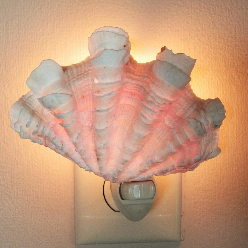Seashell Night Light - Etsy