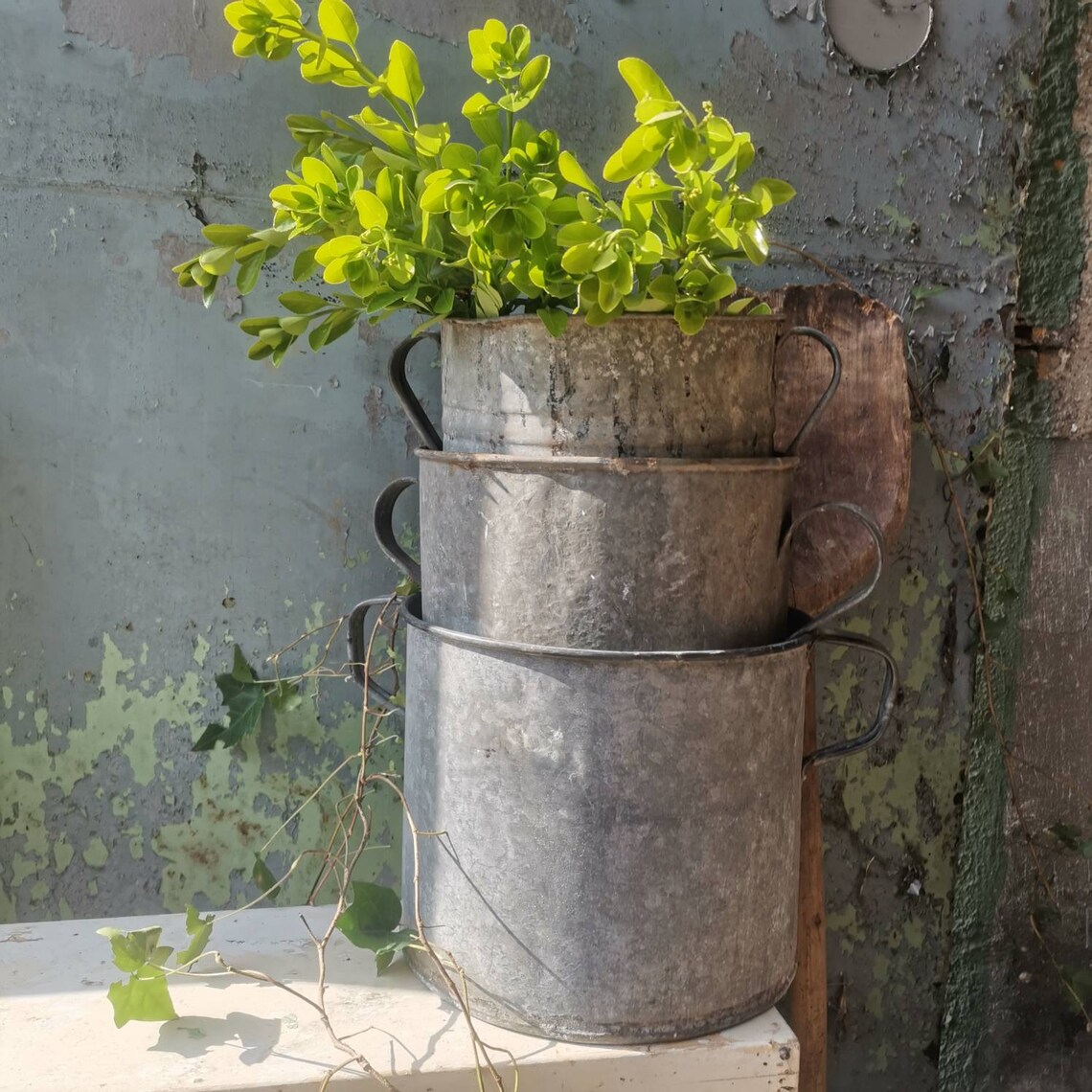 Set of 3 Instant Garden Planters Galvanised Vintage Metal Water Bucket ...
