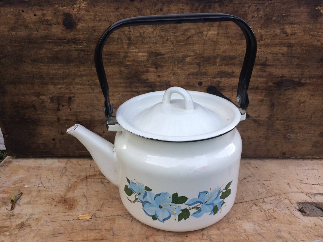 QUIRKY Farmhouse Kettle Blue Floral Painted Enamel Vintage Kitchen Tea ...