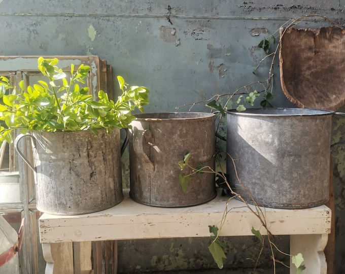 Set of 3 Instant Garden Planters Galvanised Vintage Metal Water Bucket ...