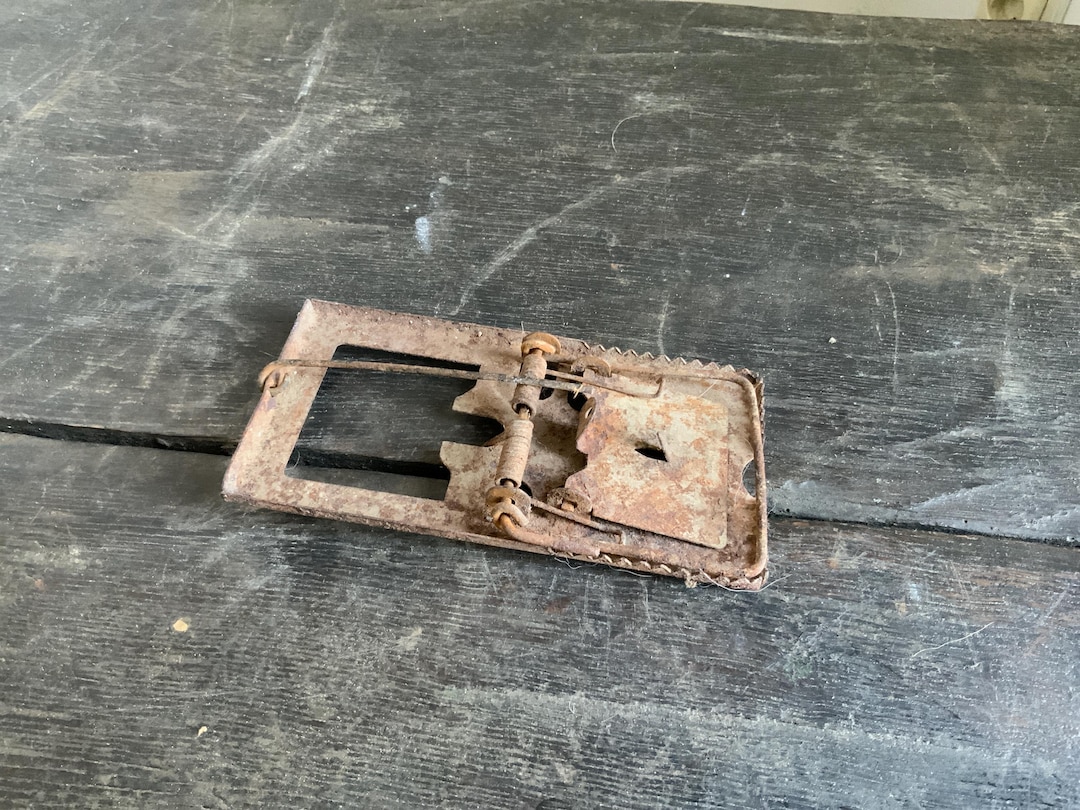Rusty Old Vintage Mouse Trap C1940s Hand Forged Rat Catcher, Functional ...