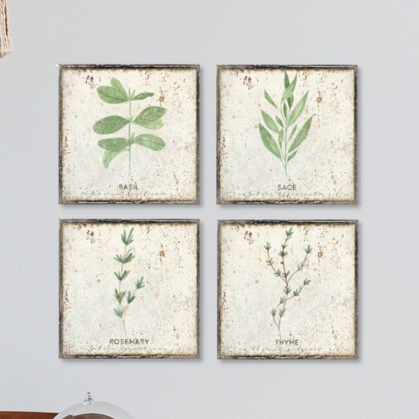 Herb Decor - Etsy