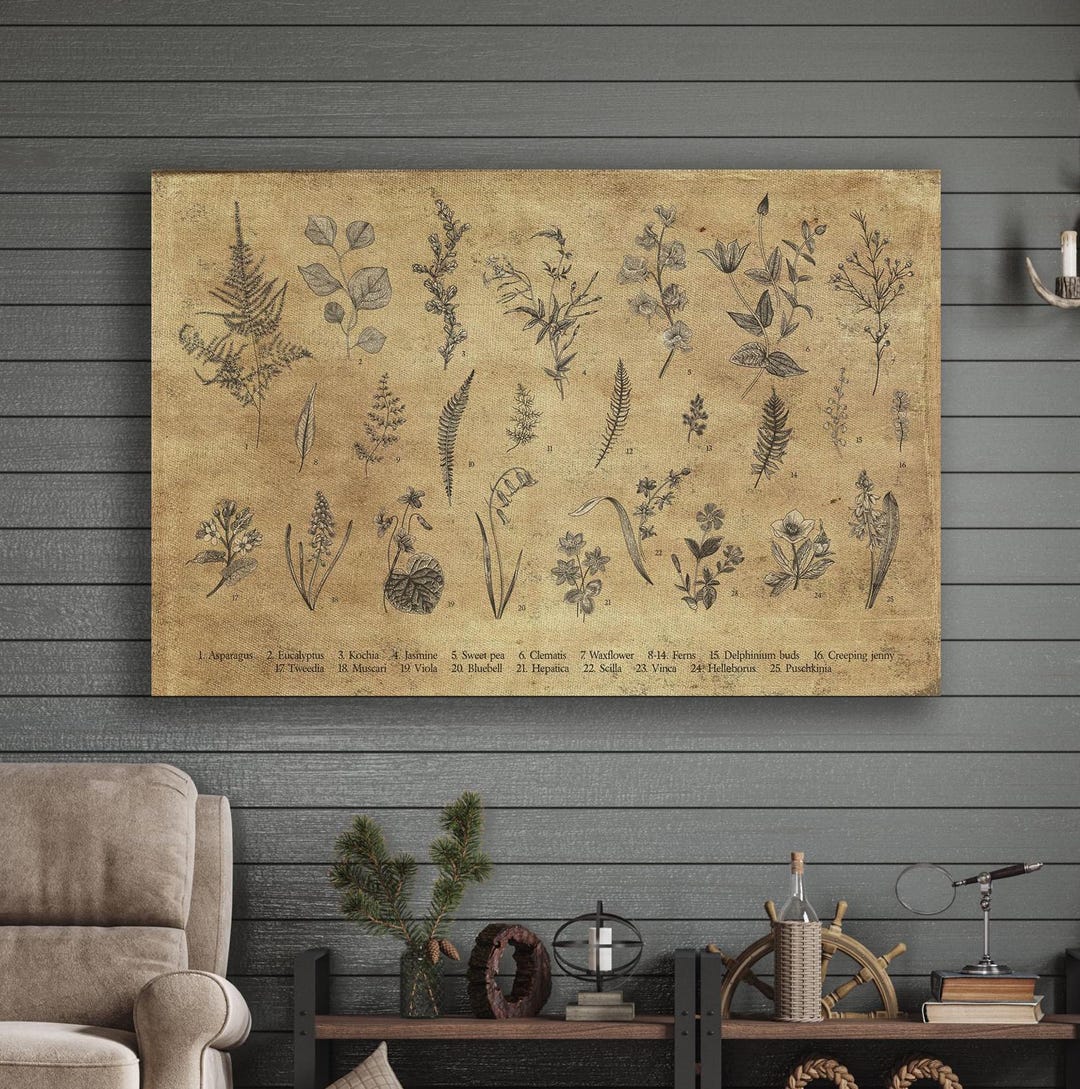 Botanical Ferns Canvas Sign, Vintage Signs, Botanical Print, Vintage ...