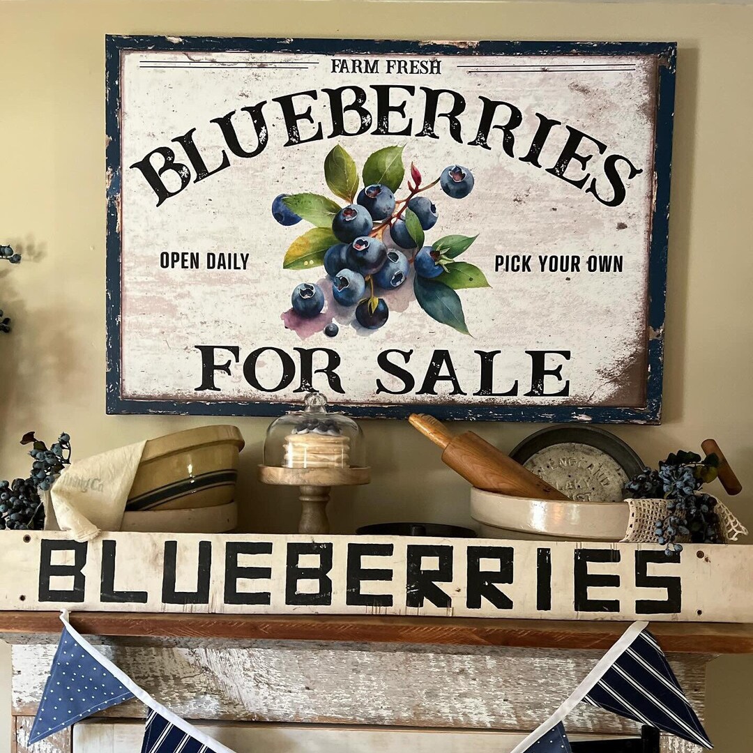 Blueberries for Sale, Spring Decor, Spring Canvas Wall Art, Large ...