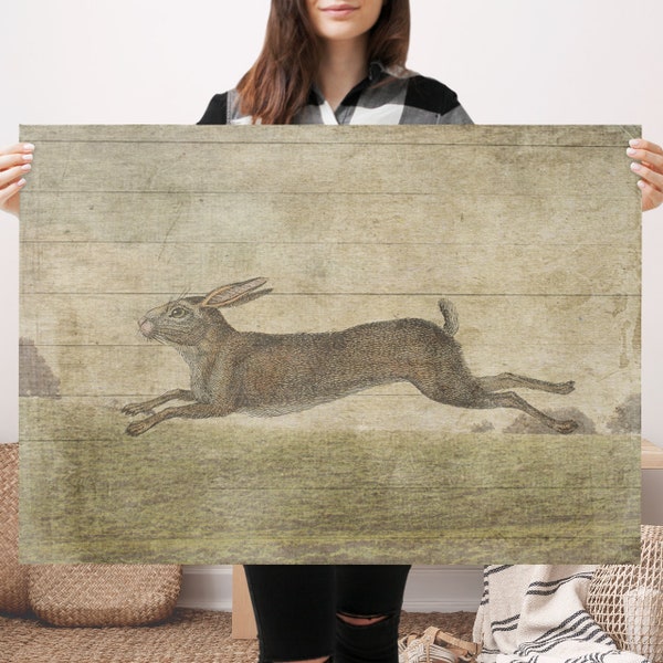 Rabbit Art Print - Etsy