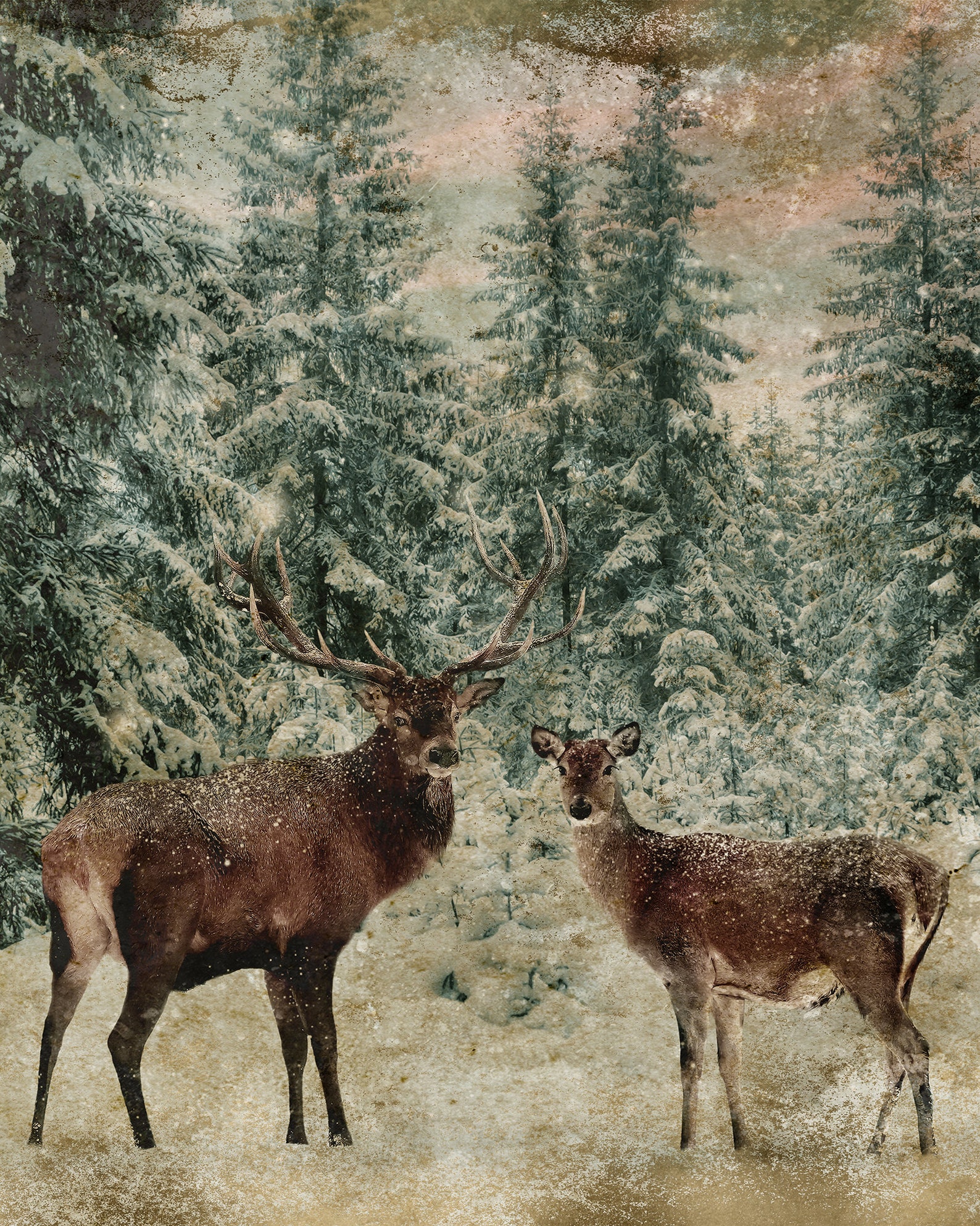 Deer in Winter Photo Vintage Reproduction Vintage Art - Etsy