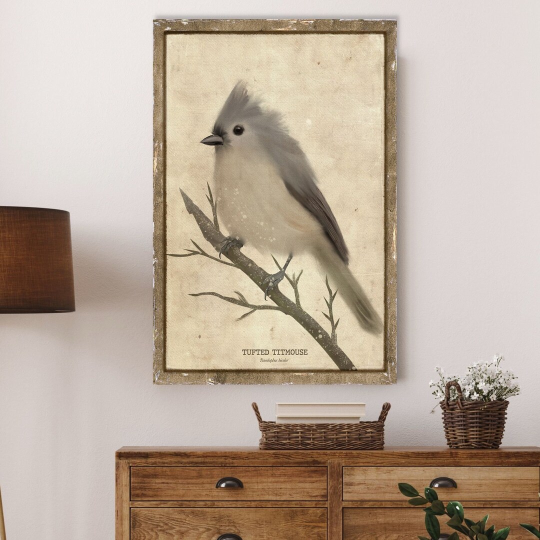 Tufted Titmouse Canvas Print: Vintage Winter Bird Art - Etsy