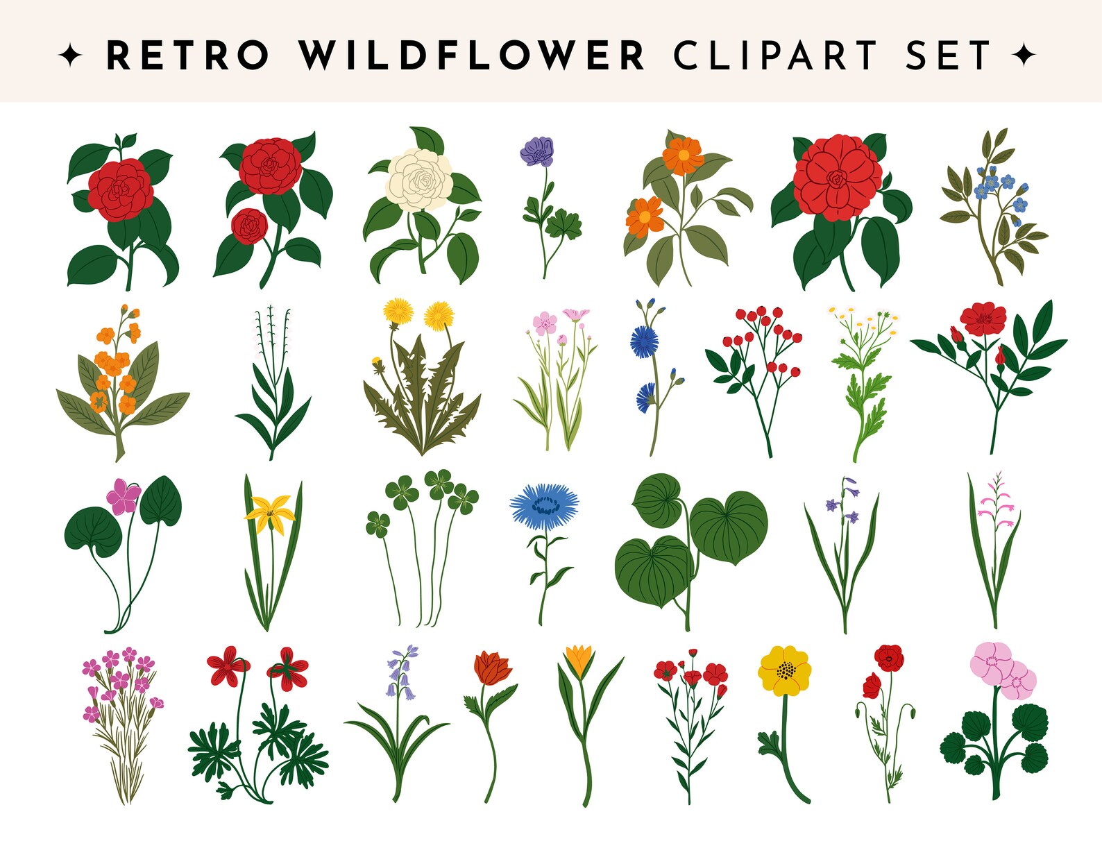 60 Botanic Flowers Clipart. Wildflower Clipart. Vector Flower Market ...