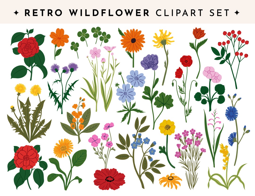 60 Botanic Flowers Clipart. Wildflower Clipart. Vector Flower Market ...