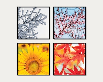 4 seasons wall art | Etsy