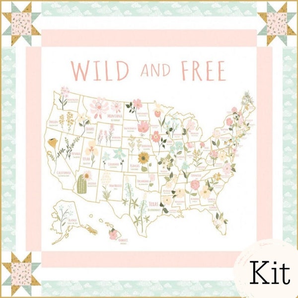 Fabric Panel Quilt Kit - Etsy