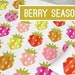 Berry Season Quilt Pattern by Elizabeth Hartman - Etsy