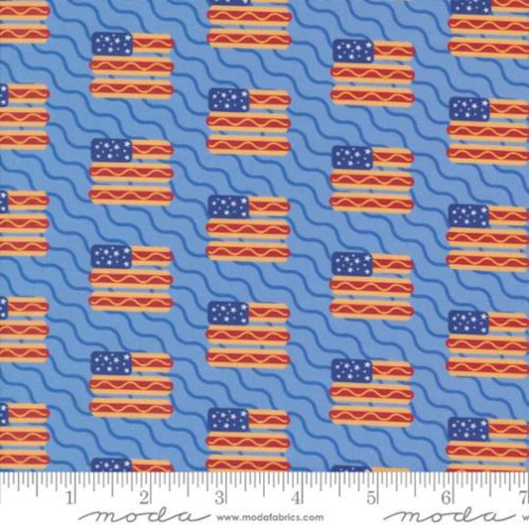 Play Ball Top Dog Sky by Moda Fabrics - Etsy