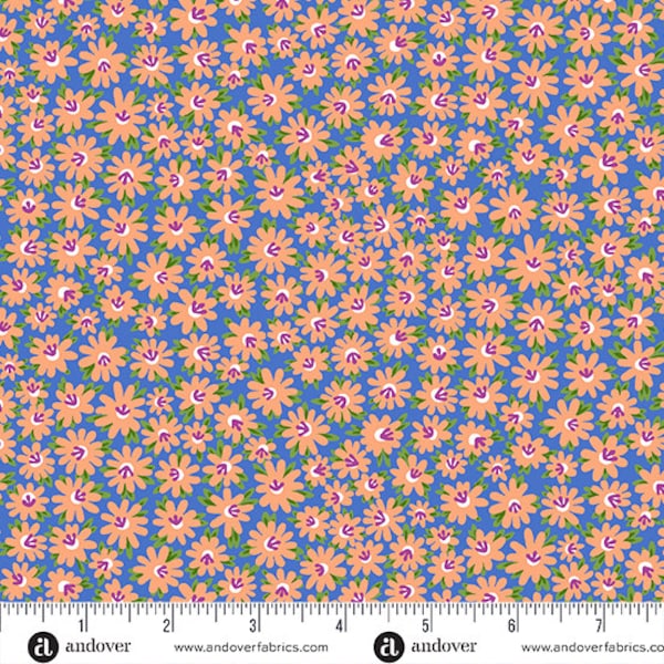 Bitterroot Flower - Etsy
