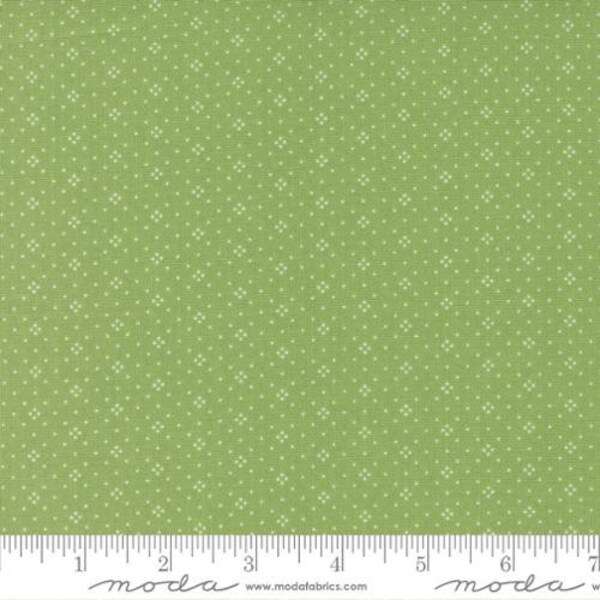 Fig Tree Eyelet Fabric - Etsy