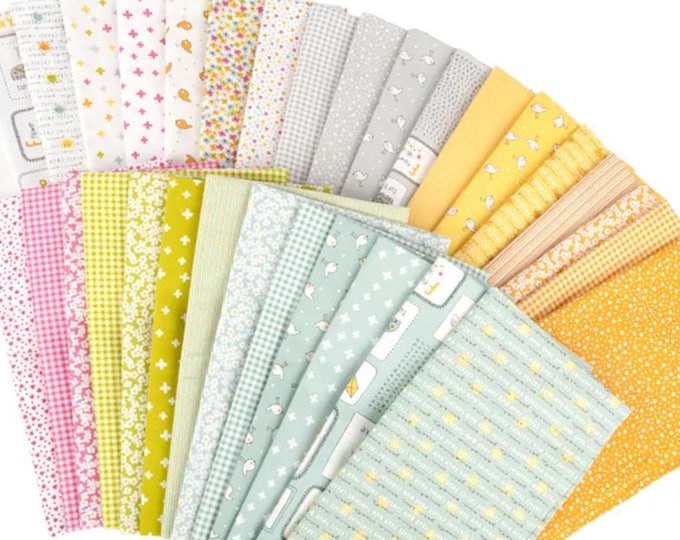 Raspberry Summer Precuts by Sherri & Chelsi for Moda Fabrics - Etsy