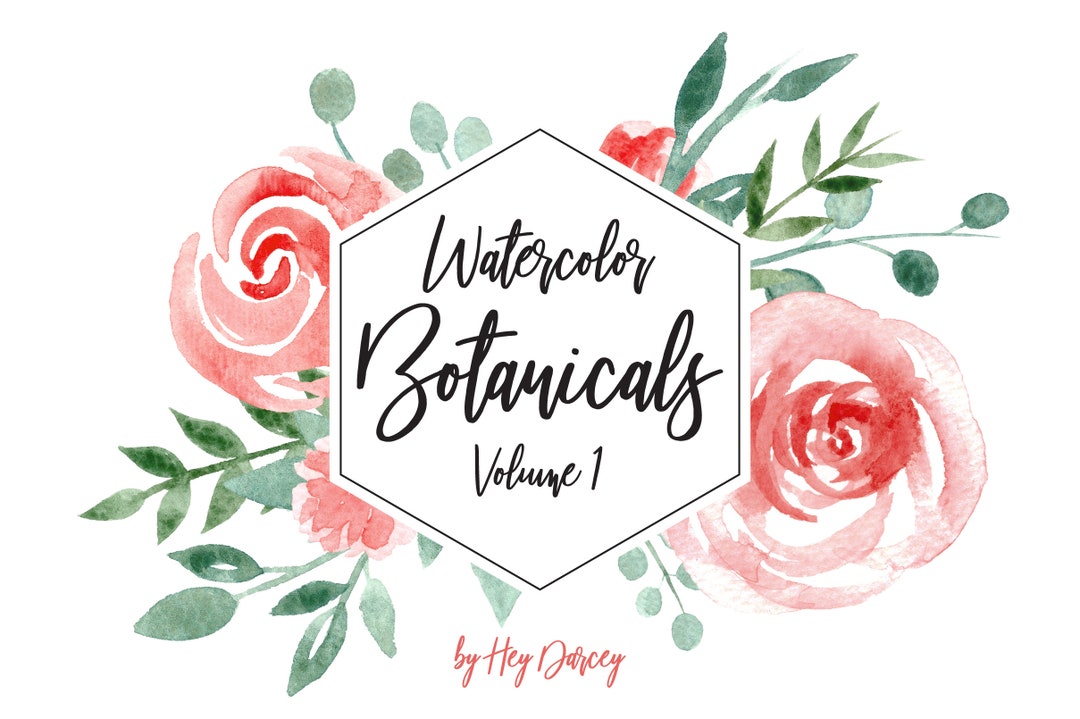 Watercolor Rose Clipart, Watercolor Botanical Clipart, Watercolor ...