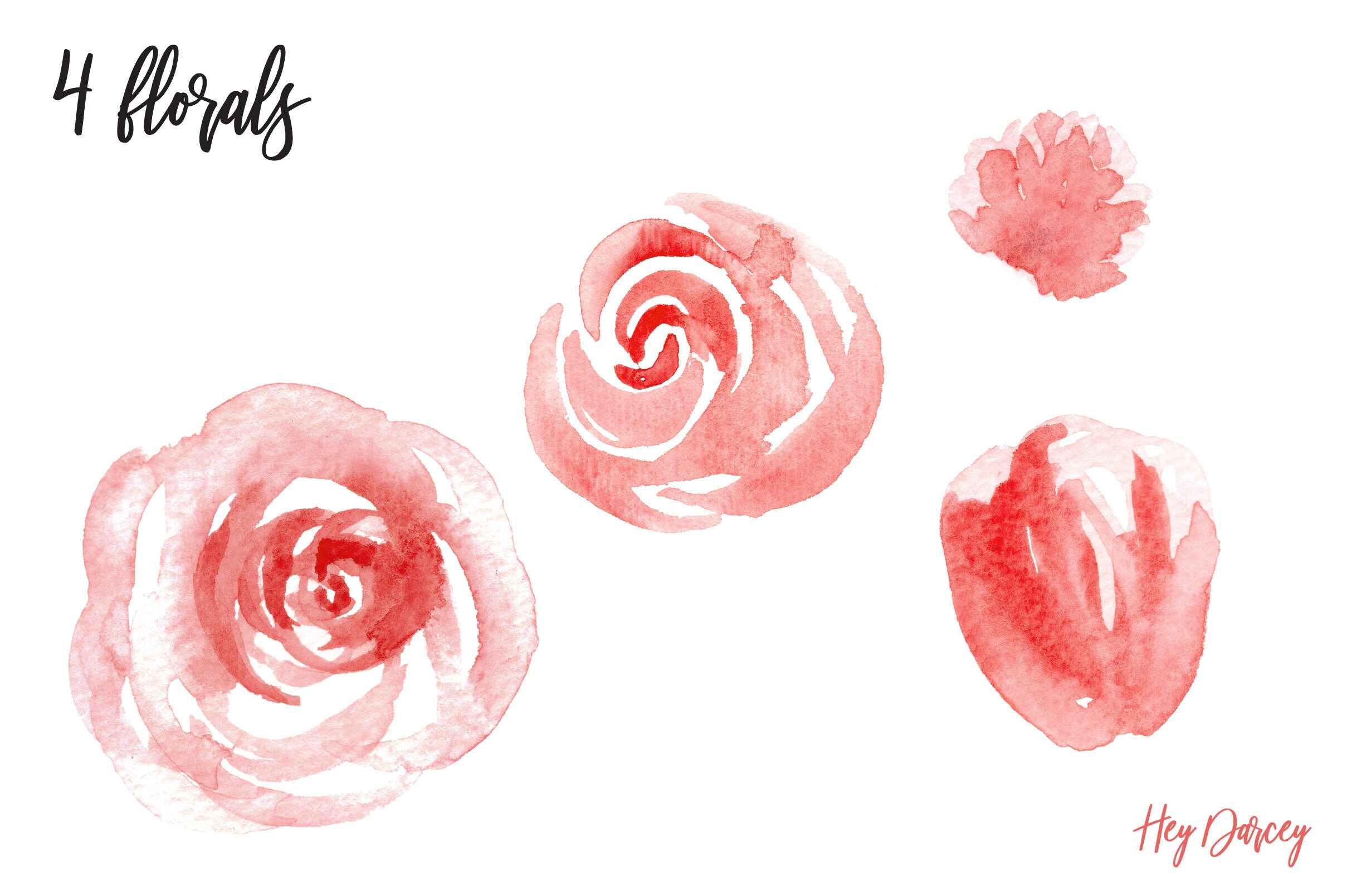 Watercolor Rose Clipart, Watercolor Botanical Clipart, Watercolor ...