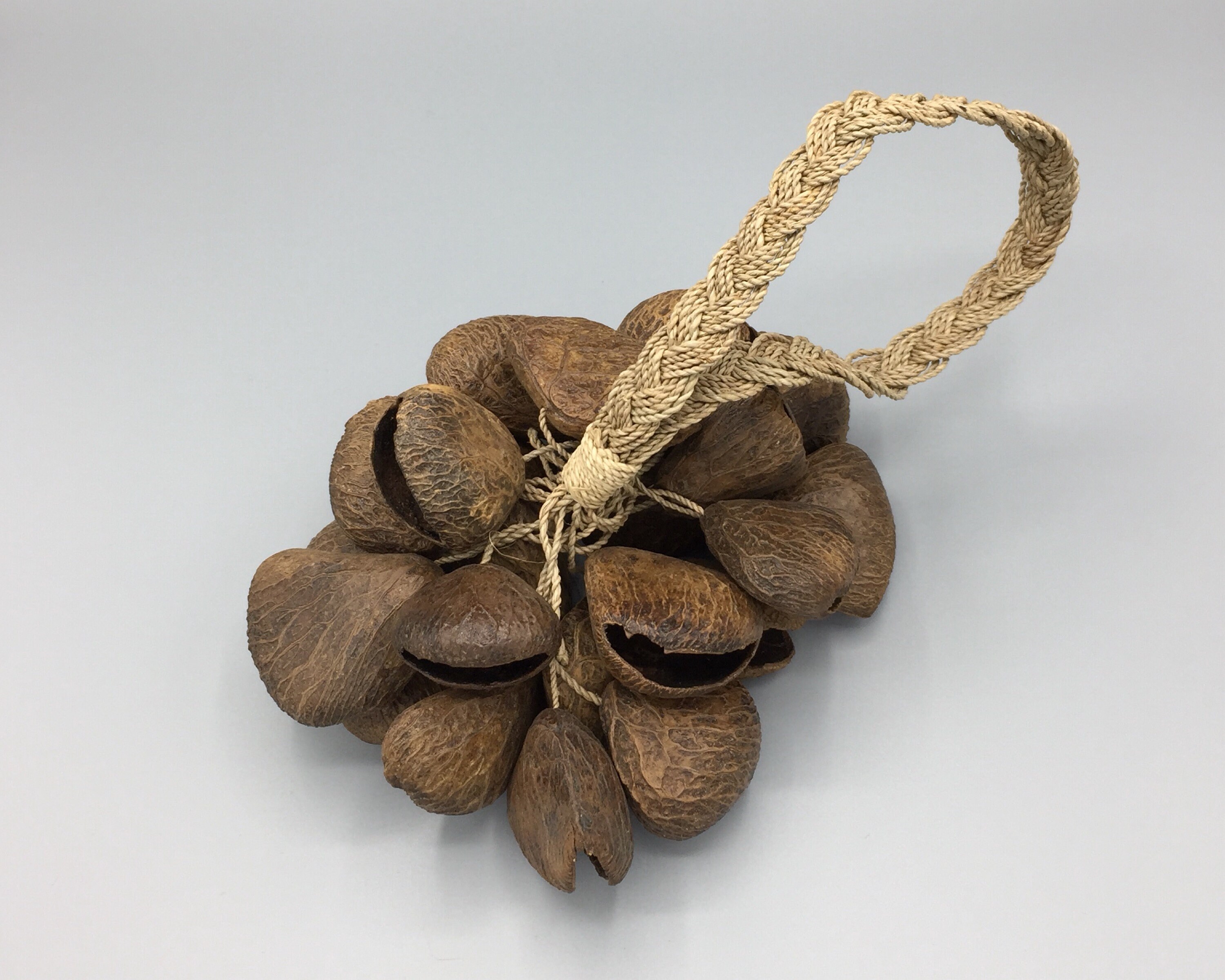 Handcrafted Sacred Chestnut Rattle/ Shaker... Beautiful - Etsy