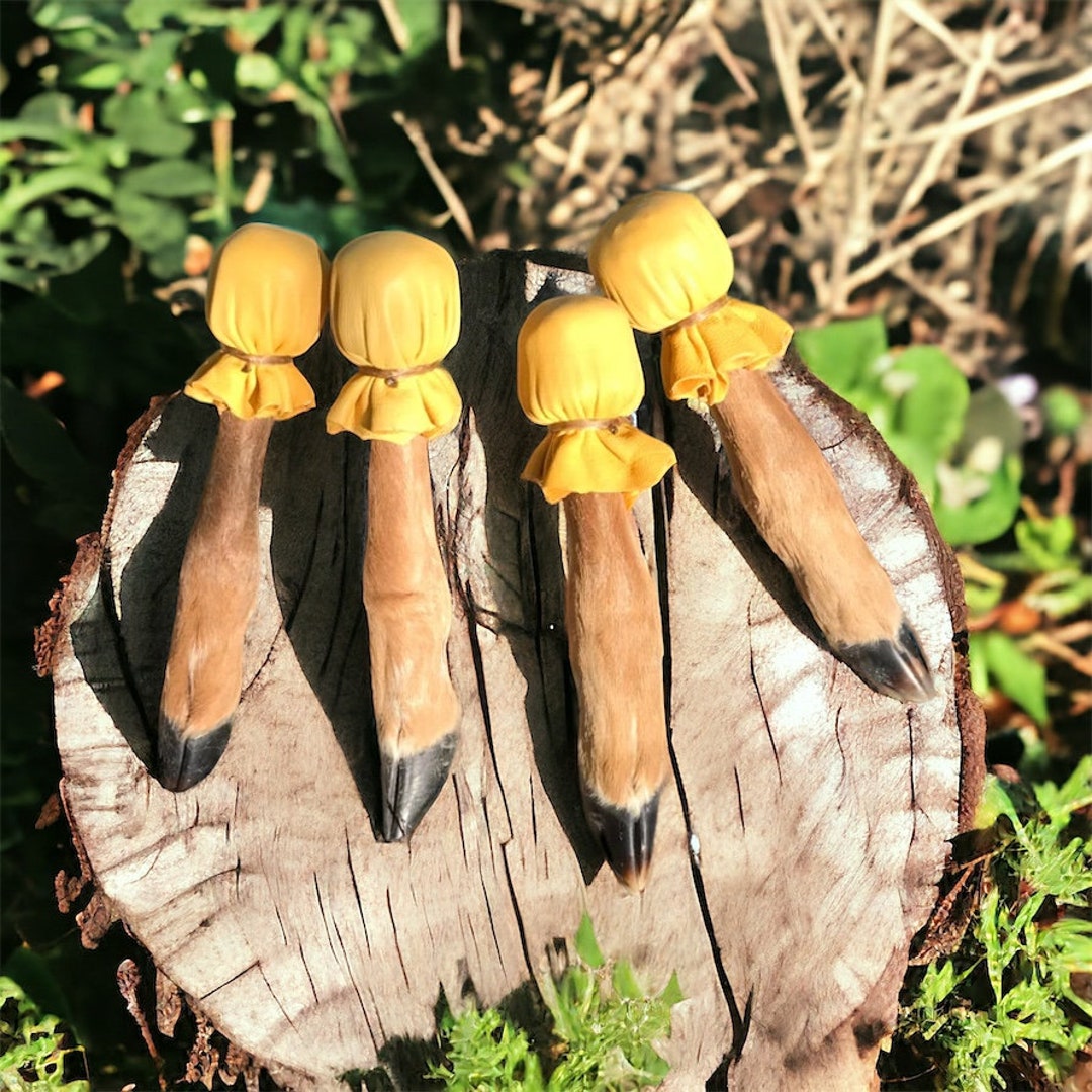 Traditional 11 Inch Deer Hoof Shamanic Frame Drum Beater/ Handcrafted ...