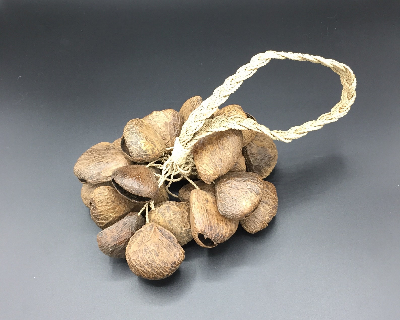 Handcrafted Sacred Chestnut Rattle/ Shaker... Beautiful - Etsy