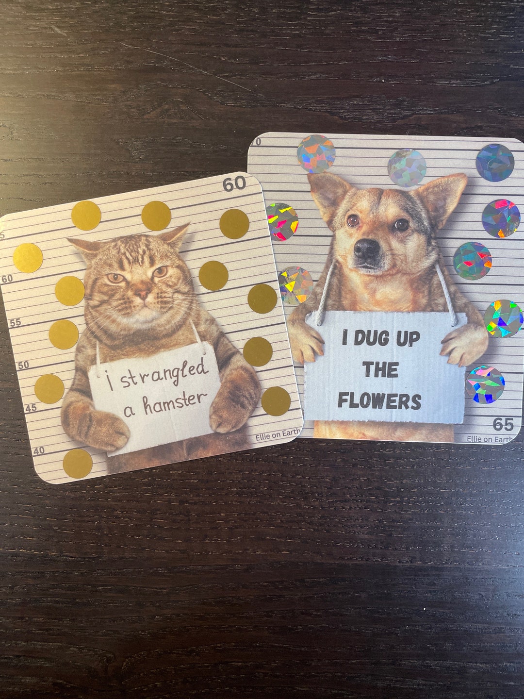 Cat Dog Jail Scratch off Cash Savings Challenges Low Income Save 60 65 ...