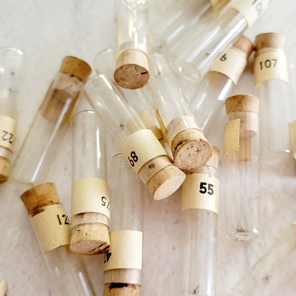 Cork Vials - Etsy
