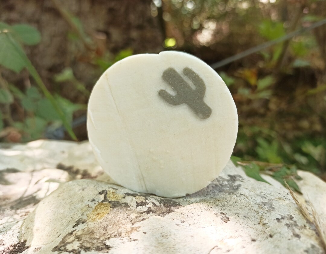 Cactus Bliss Soap, Vegan Face and Body Soap, Gentle and Nourishing ...