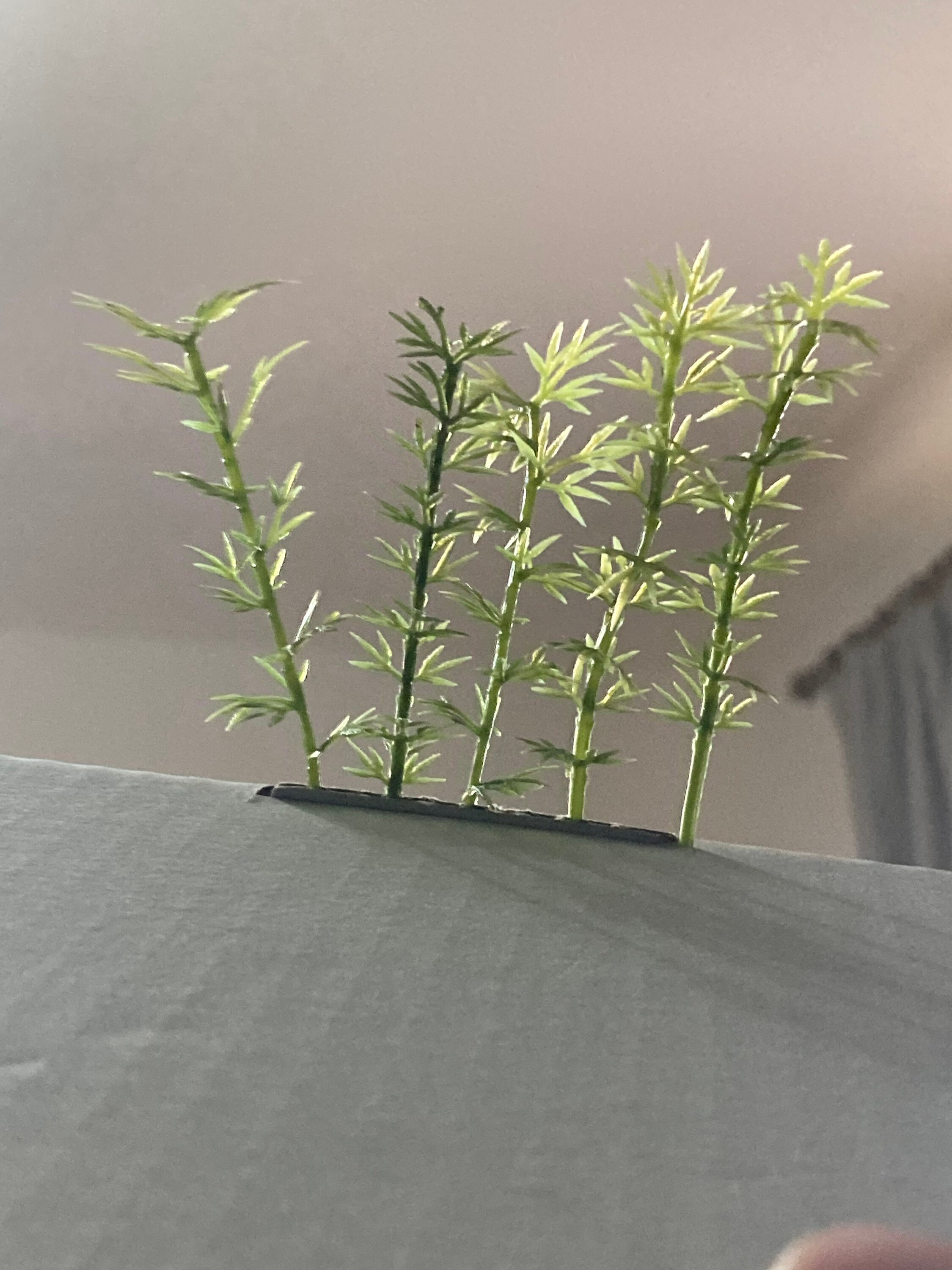 5 X Miniature Green Plastic Bamboo Ornamental Cake Topper Chinese ...