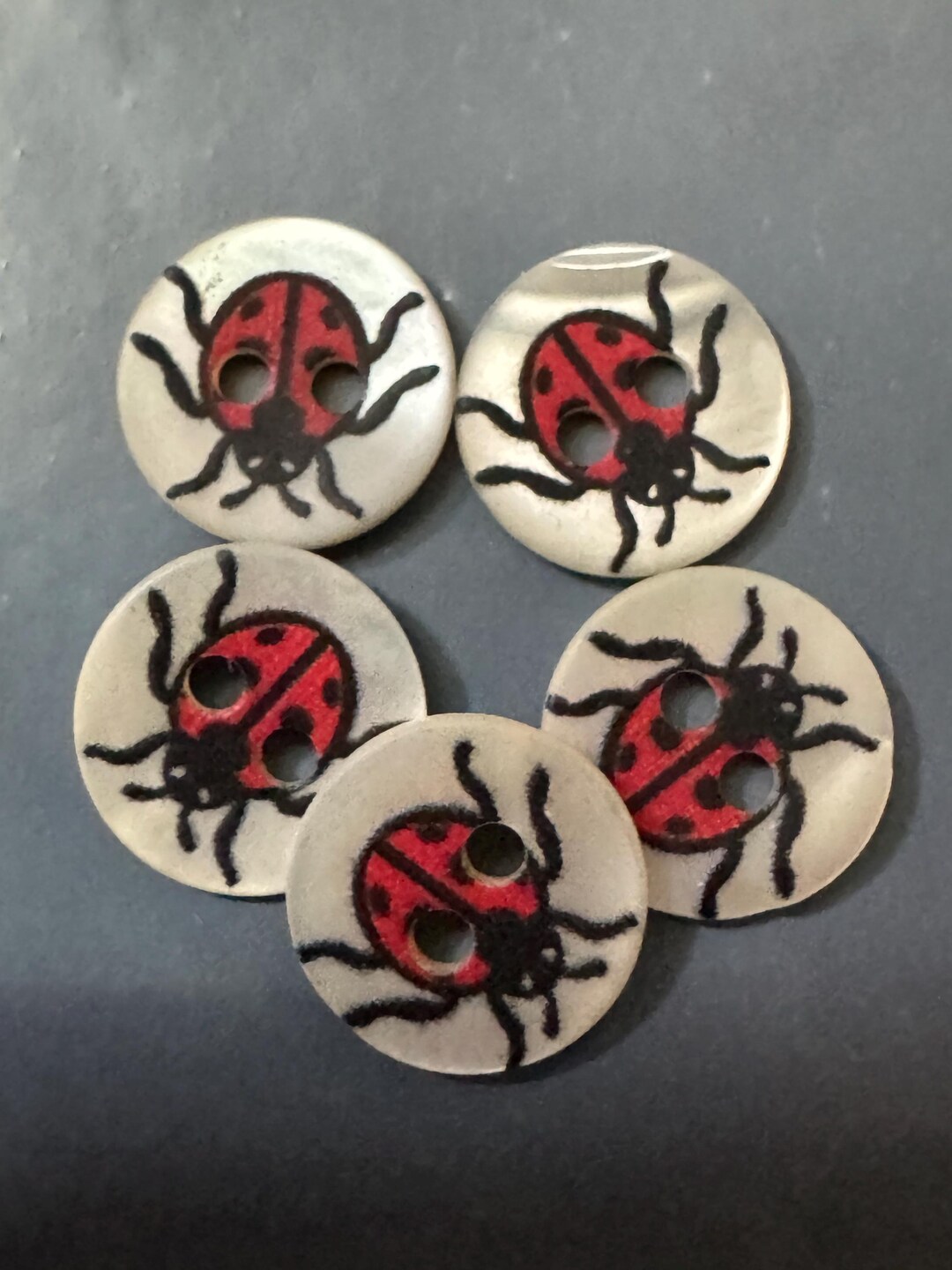 Mother of Pearl Ladybird Buttons: Natural MOP Shell Ladybugs, 10mm, 5 ...