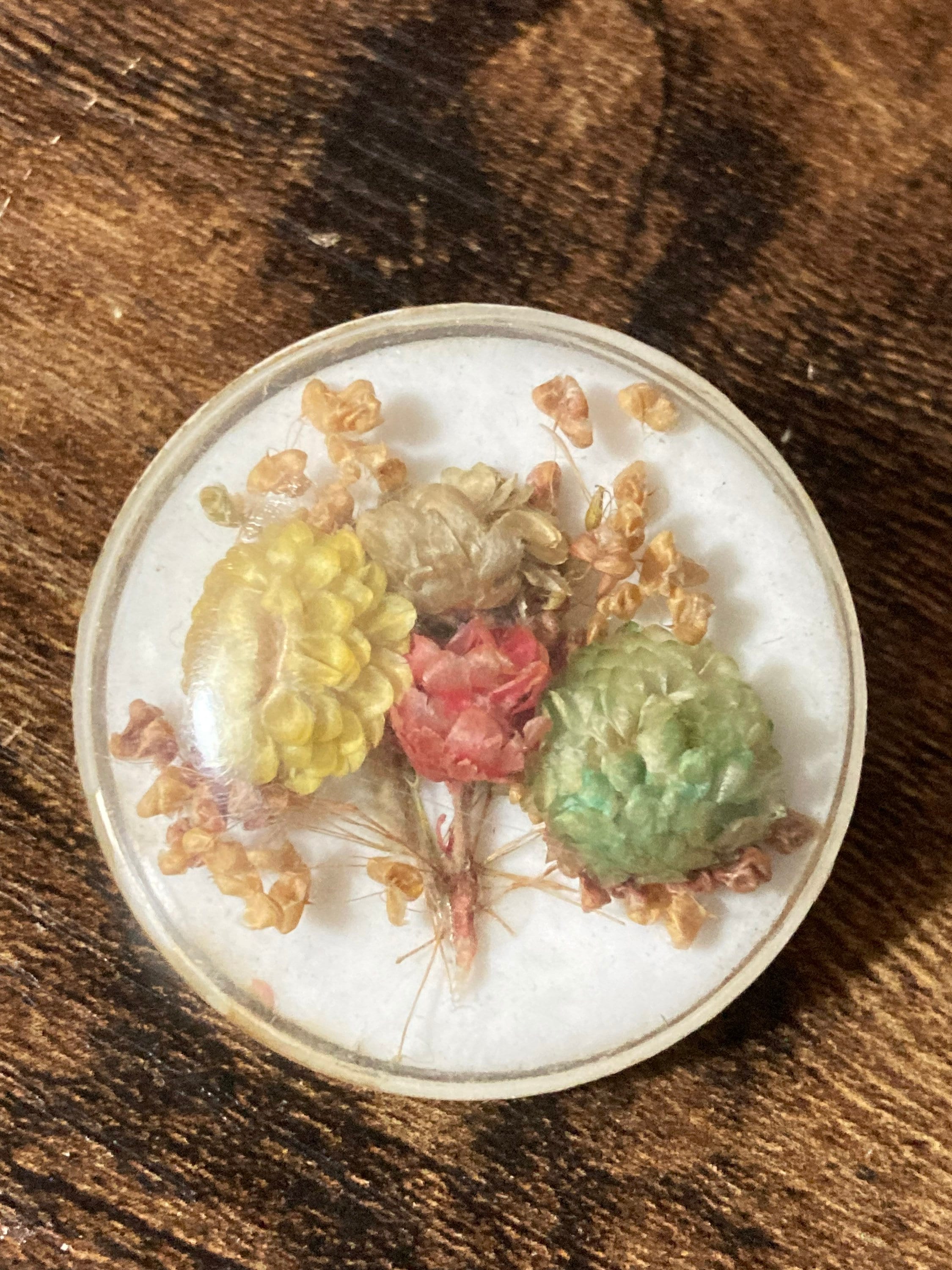 Celluloid Domed Dried Flowers Brooch, Kitsch 1930s - Etsy