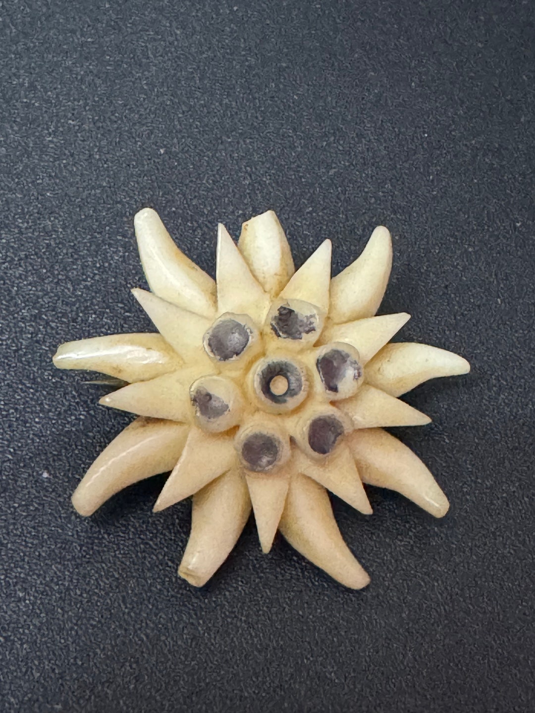 Antique Early Plastic Celluloid Cream and Green Alpine Edelweiss Flower ...