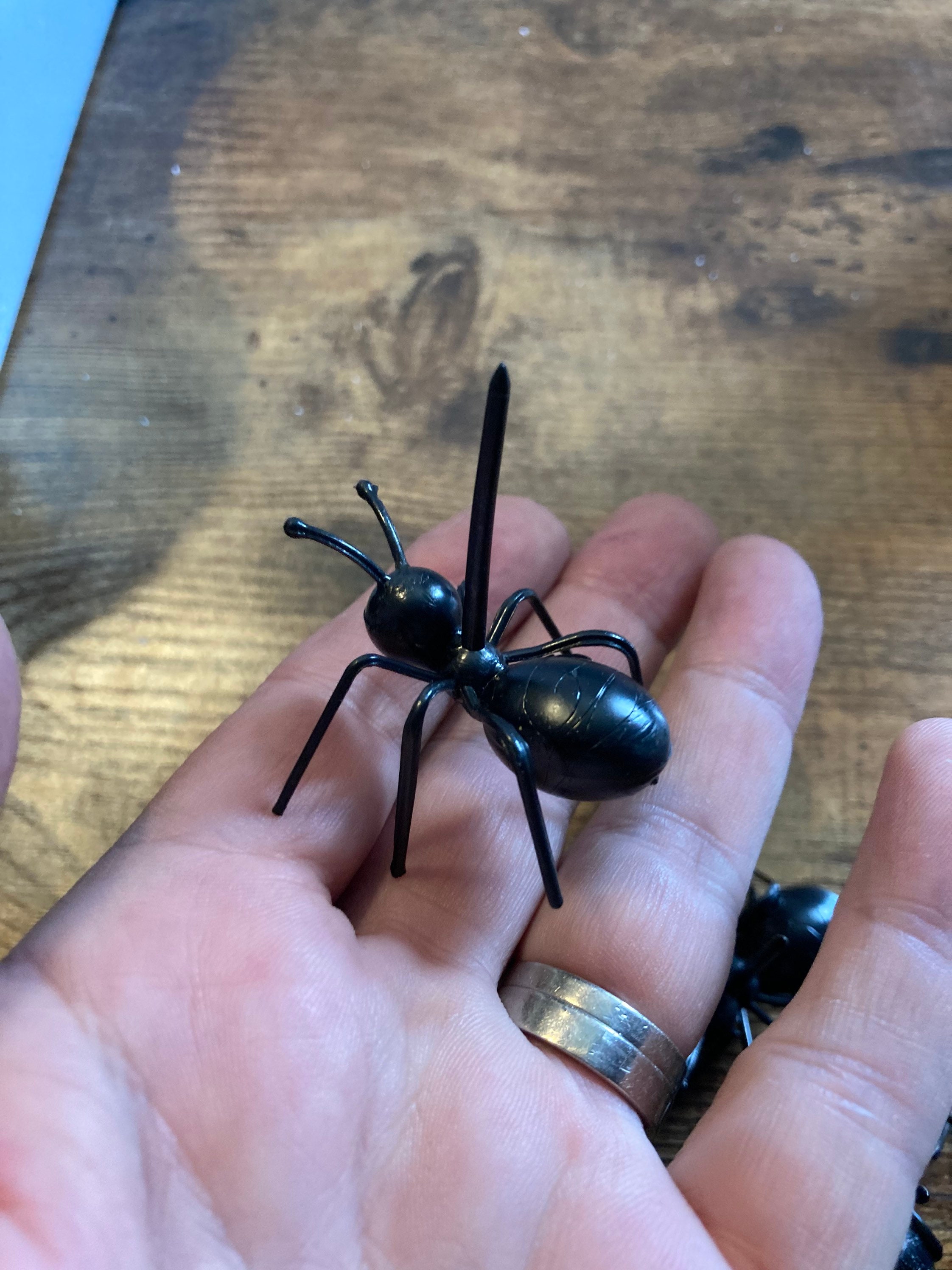 Set 12 Table Display Scary Ants Food Display Picks Halloween - Etsy UK