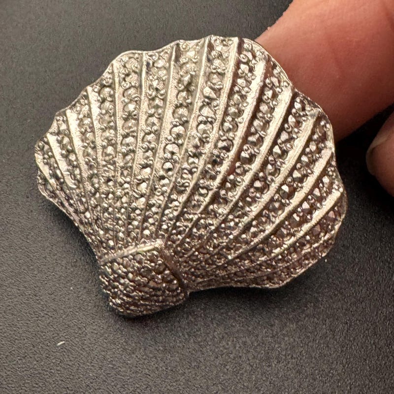 Seashell Brooch - Etsy