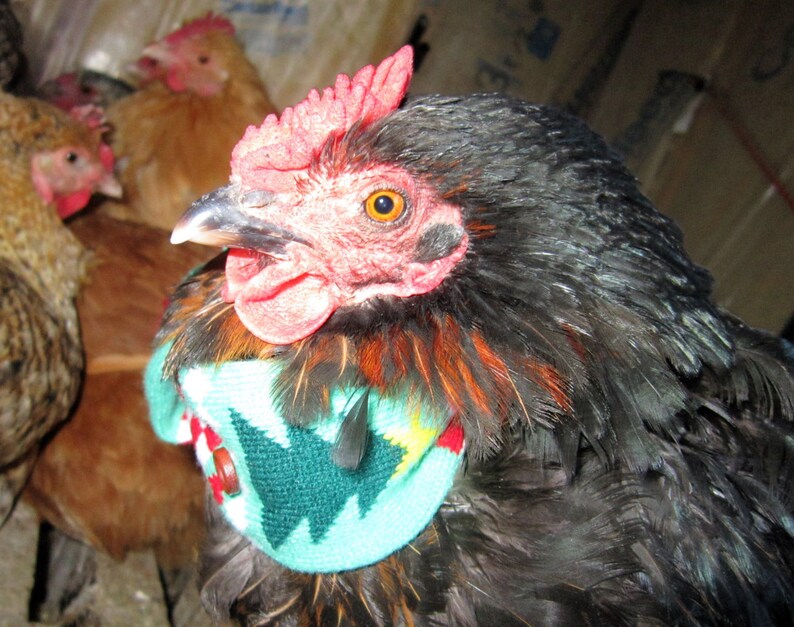 Chicken Scarf | Etsy