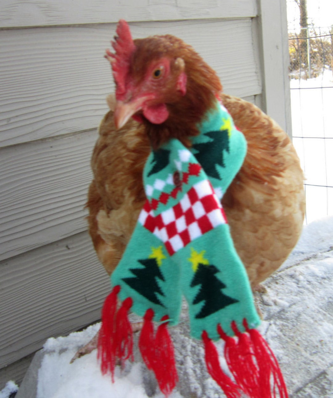 Chicken Scarf - Etsy Canada