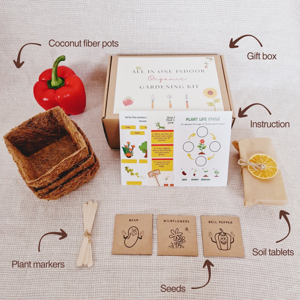 Kids Gardening Kit, Garden Set for Kids, Activity Kit for Kids, Indoor ...