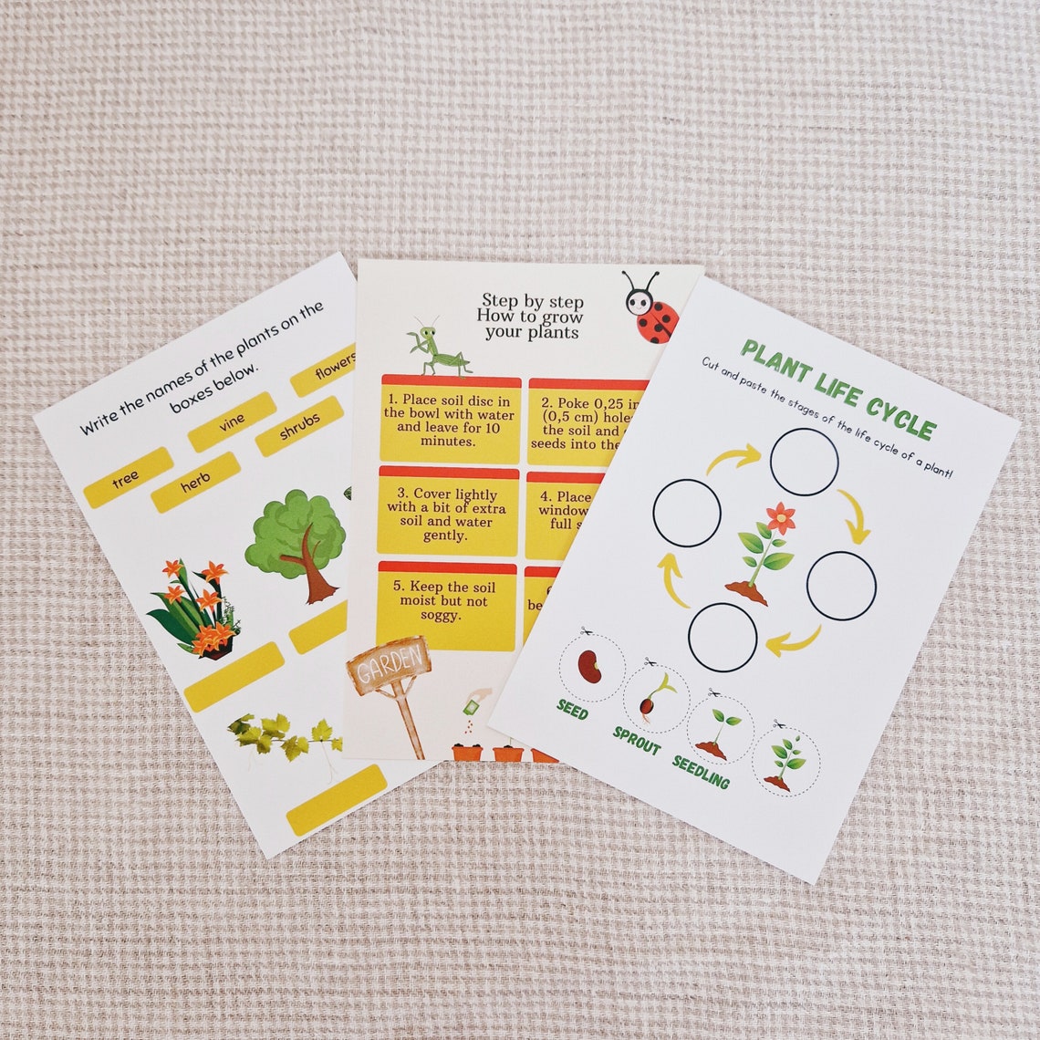 Kids Gardening Kit, Garden Set for Kids, Activity Kit for Kids, Indoor ...