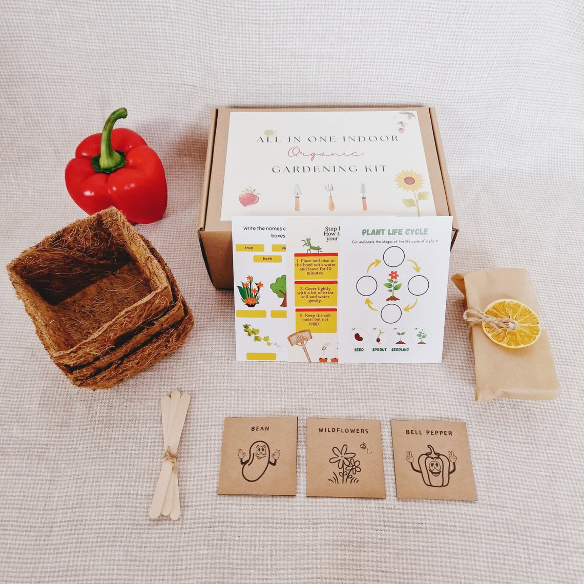 Kids Gardening Kit, Garden Set for Kids, Activity Kit for Kids, Indoor ...