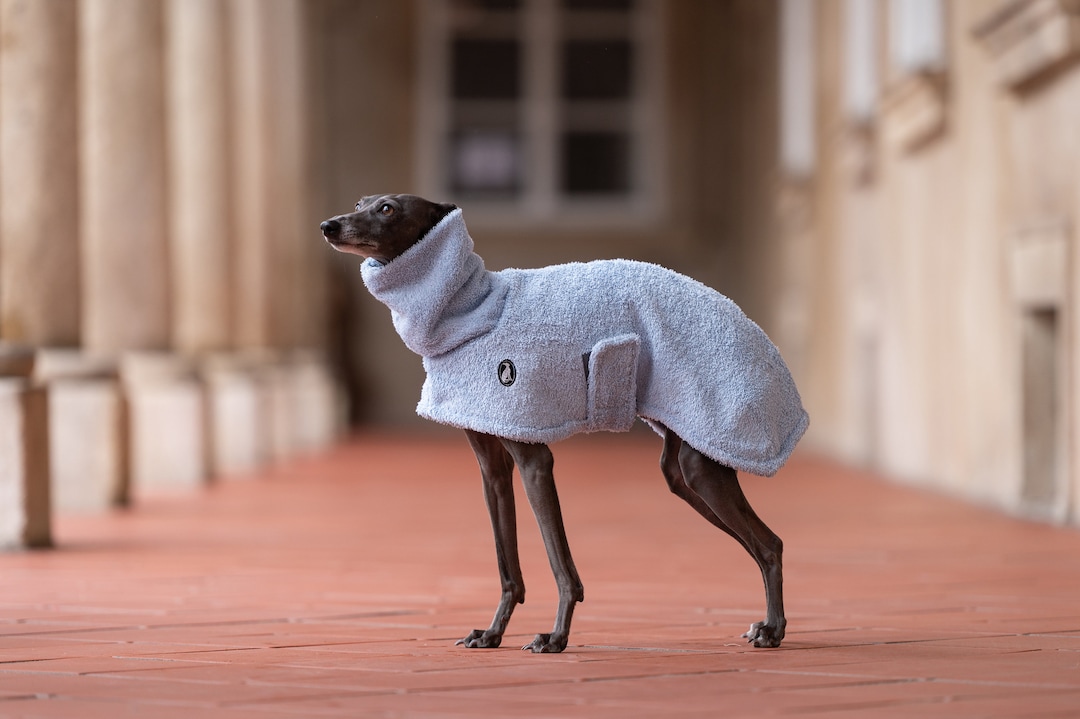 Whippet Bathrobe Iggy Robe Italian Greyhound Bathrobe Dog Grooming Pet ...
