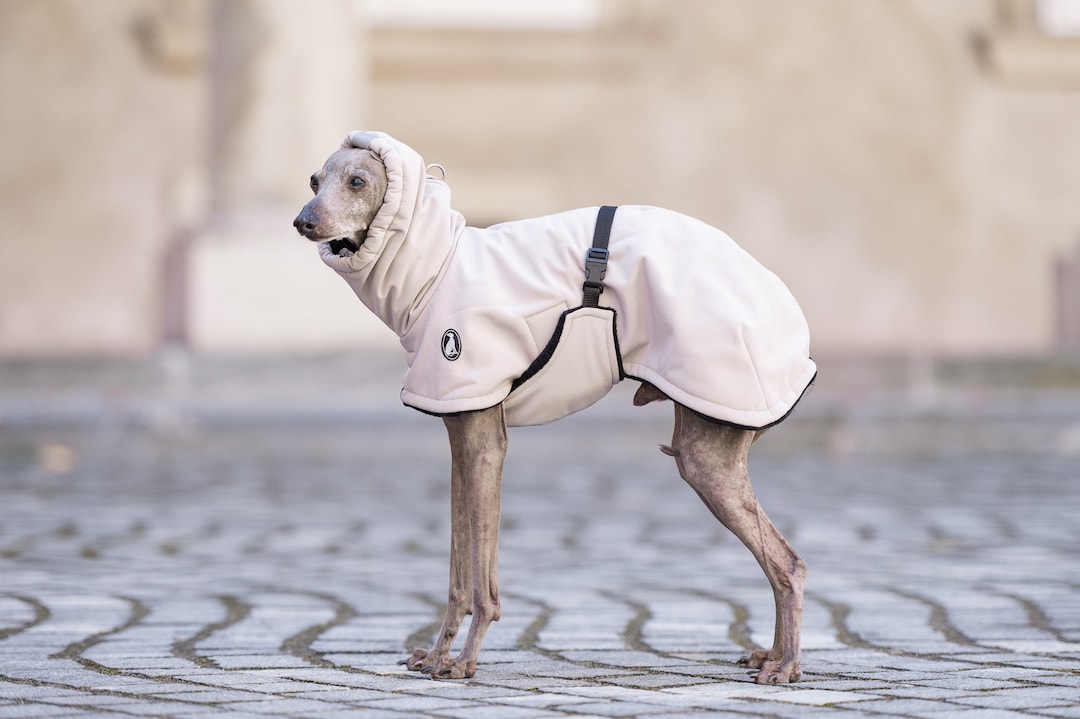 Whippet Winter Coat Iggy Warm Coat Italian Greyhound Clothing Whippet ...