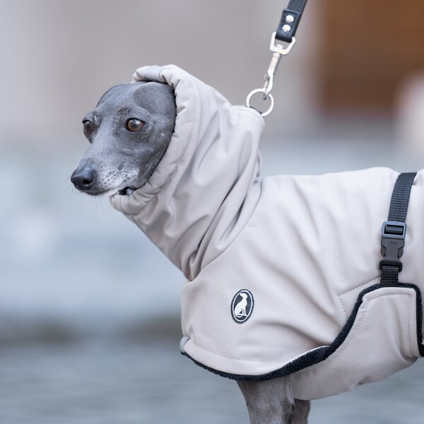 Greyhound Coats - Etsy UK